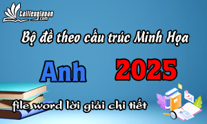 ĐỀ THI THỬ TN THPT 2025 - MÔN TIẾNG ANH - THEO CẤU TRÚC MỚI CỦA ĐỀ MINH HỌA - FILE WORD CÓ LỜI ...