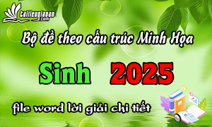 What is Sinh Lets Break It Down